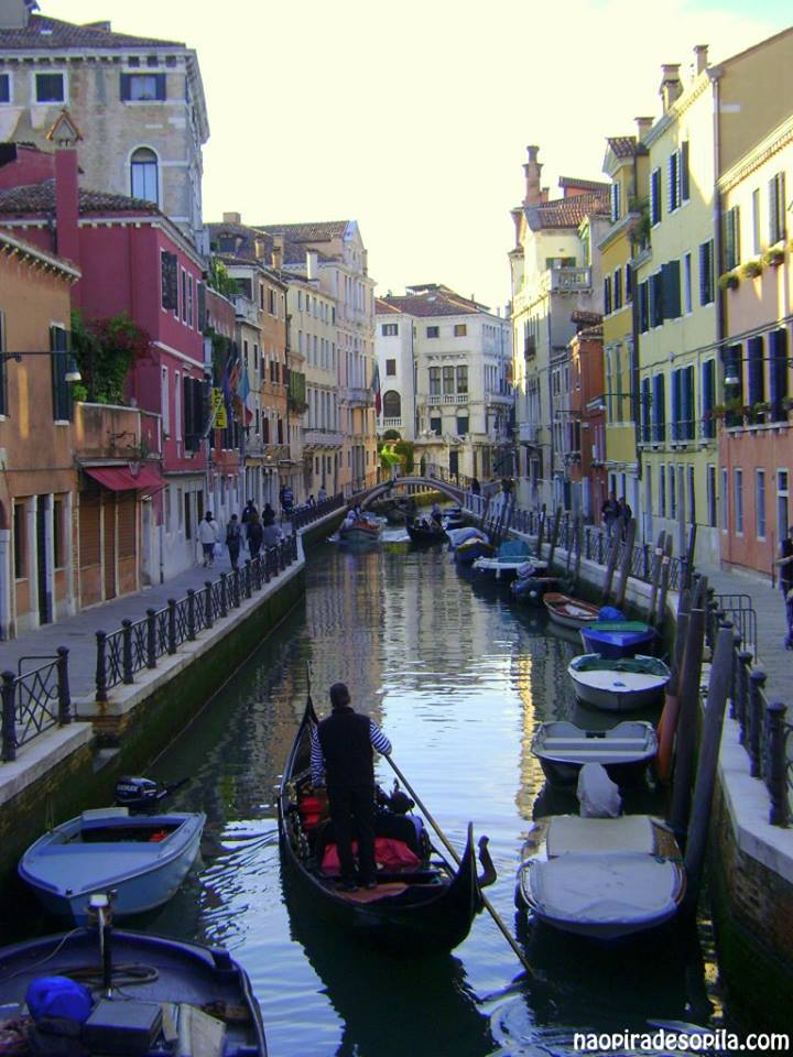 Sobrou até para a Havan na enchente: os memes da tempestade em São ...