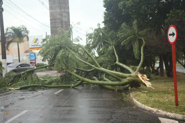 Na Bruno Ruggiero, força do temporal impressionou - São Carlos em Rede