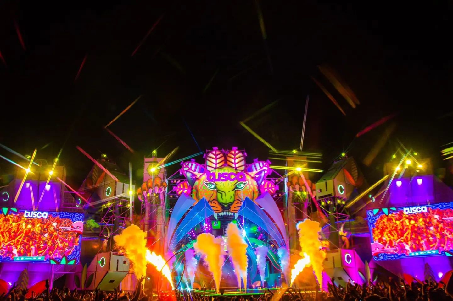 UM CASE DE SUCESSO CHAMADO: TUSCA - São Carlos em Rede