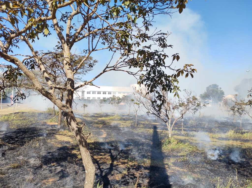 Fogo consome área de vegetação na Bruno Ruggiero - São Carlos em Rede