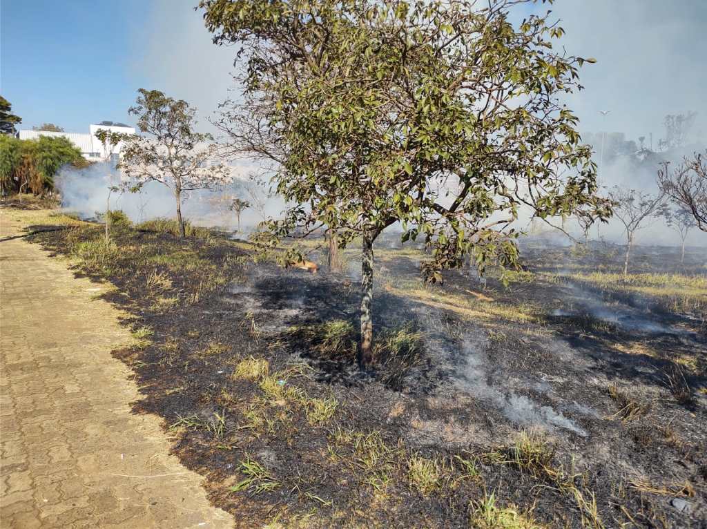Fogo consome área de vegetação na Bruno Ruggiero - São Carlos em Rede