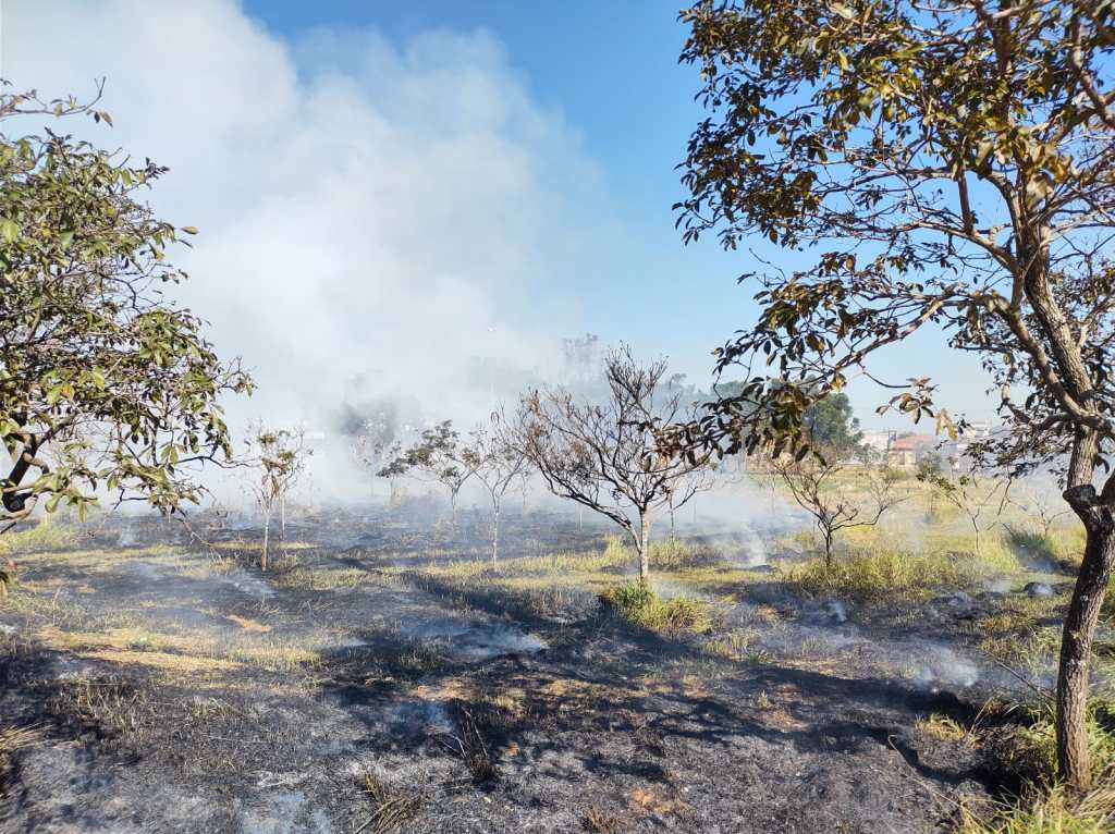Fogo consome área de vegetação na Bruno Ruggiero - São Carlos em Rede